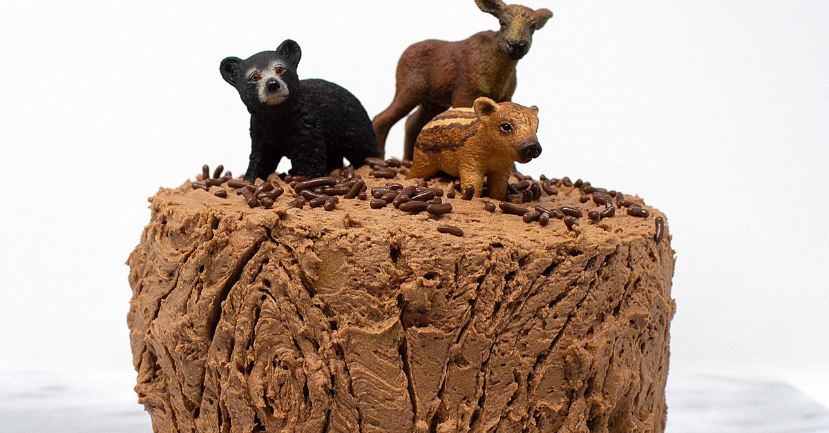 Tree Stump Smash Cake • Sarahs Bake Studio
